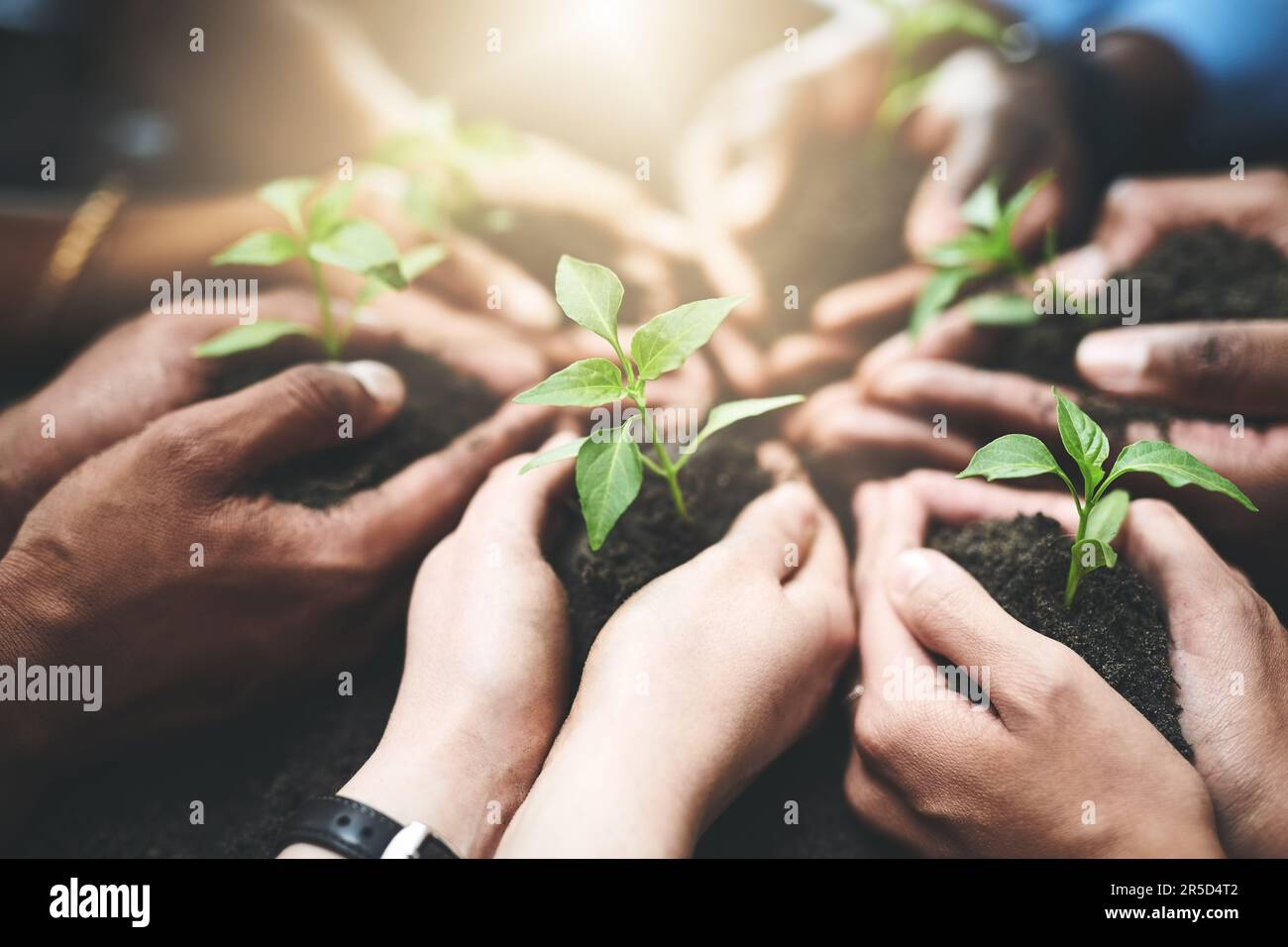 Nurturing a growing business. a group of people holding plants growing ...