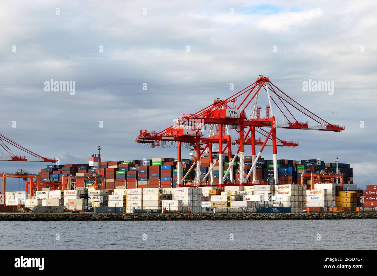 Cranes at the South End Container Terminal (PSA Halifax) at the Port of ...