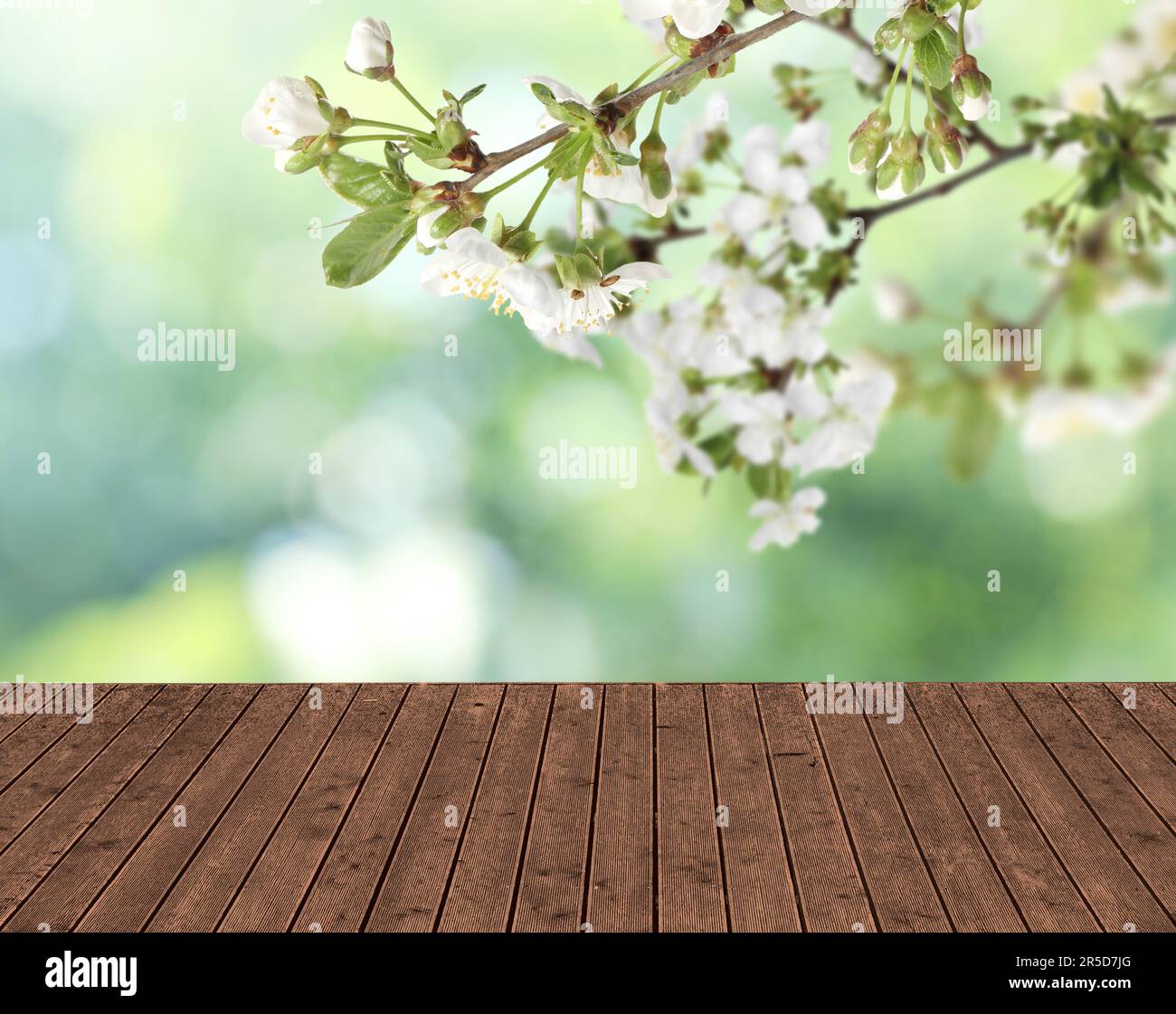 Spring tree branches with beautiful flowers over empty wooden surface ...