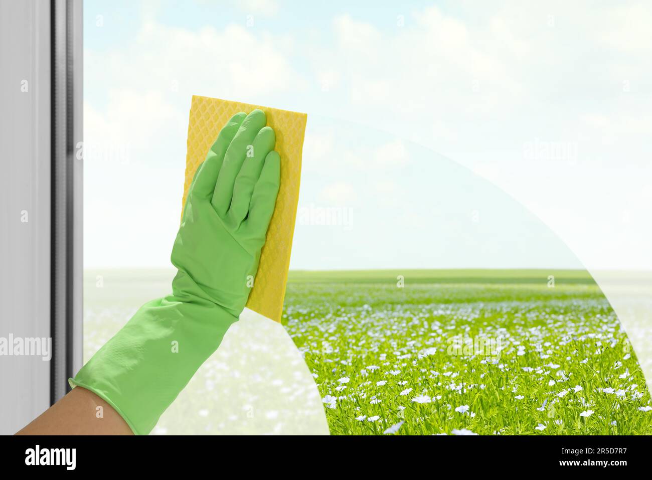 Spring cleaning. Woman washing window, closeup. View on meadow with ...