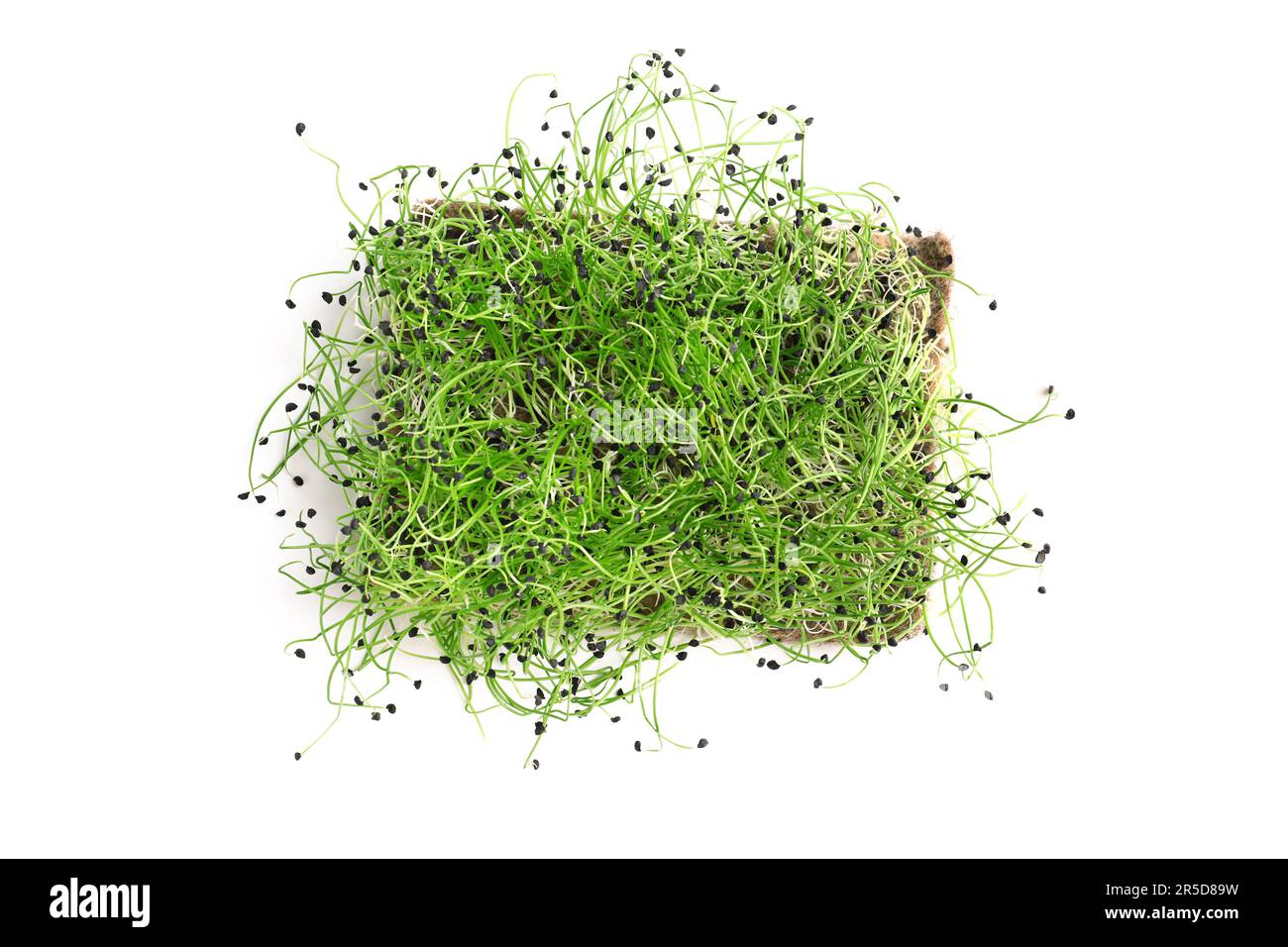 Fresh micro green on white background Stock Photo - Alamy