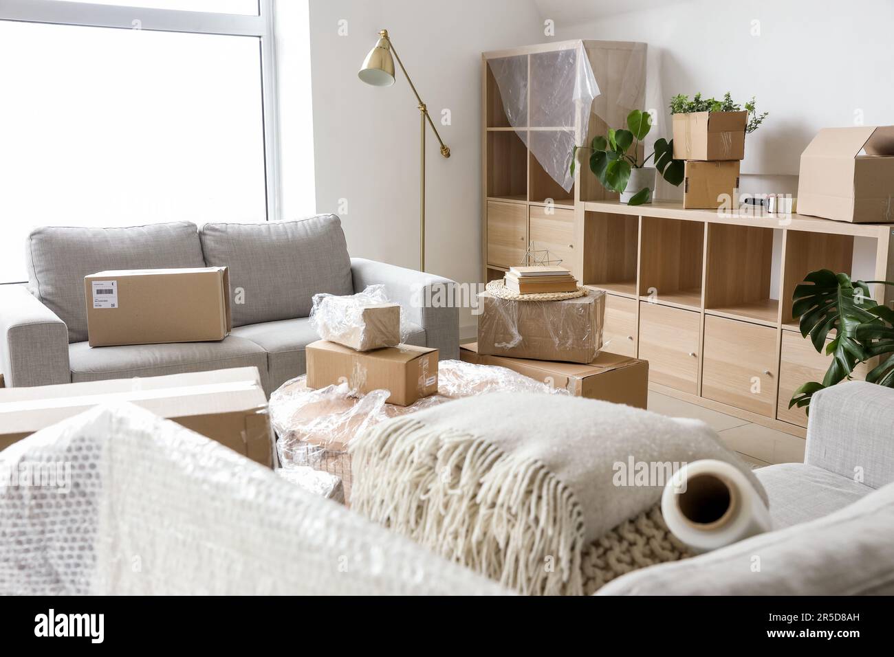 Cardboard boxes with sofas and shelving unit in living room on moving ...
