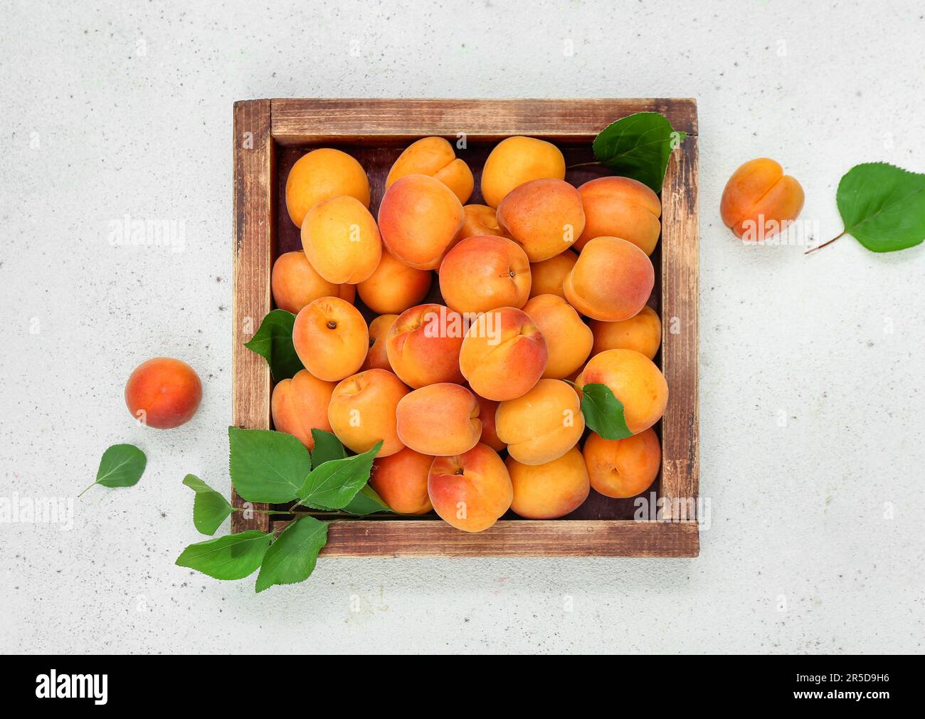 Wooden box with fresh apricots and leaves on white background Stock ...