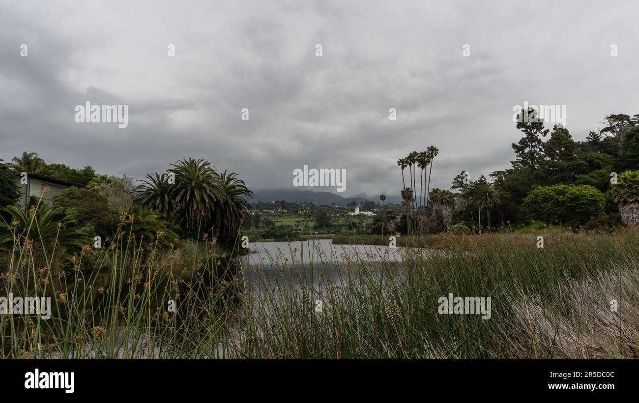 Scenic Andrée Clark Bird Refuge vista in the coastal area of Santa ...