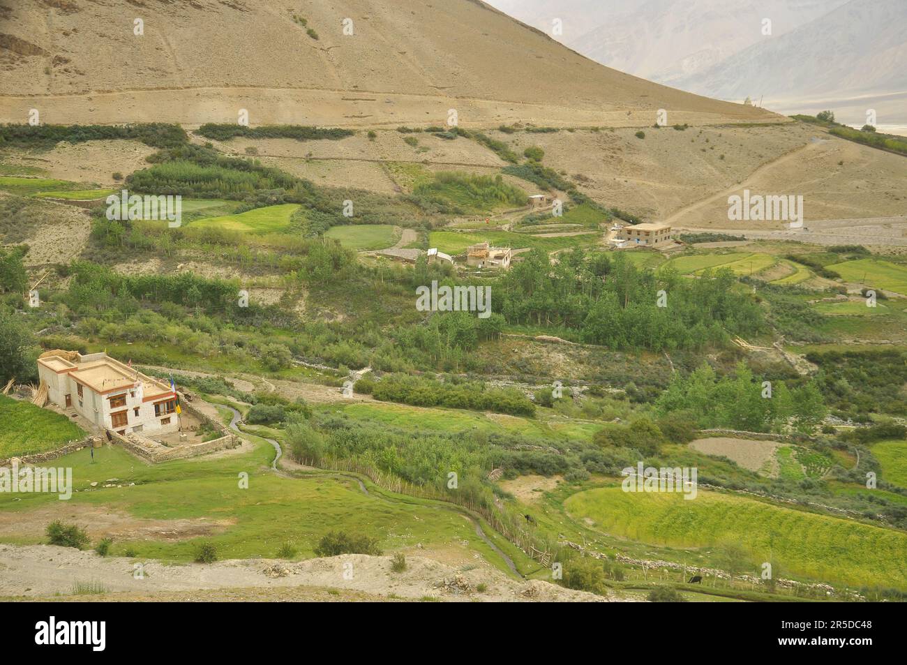 Scenery of a beautiful small green village in Padum, Zanskar Valley ...