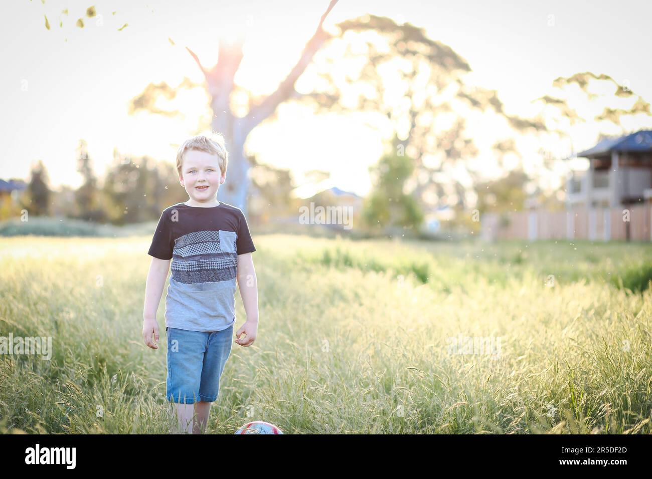 6 year old boy blonde hi-res stock photography and images - Alamy