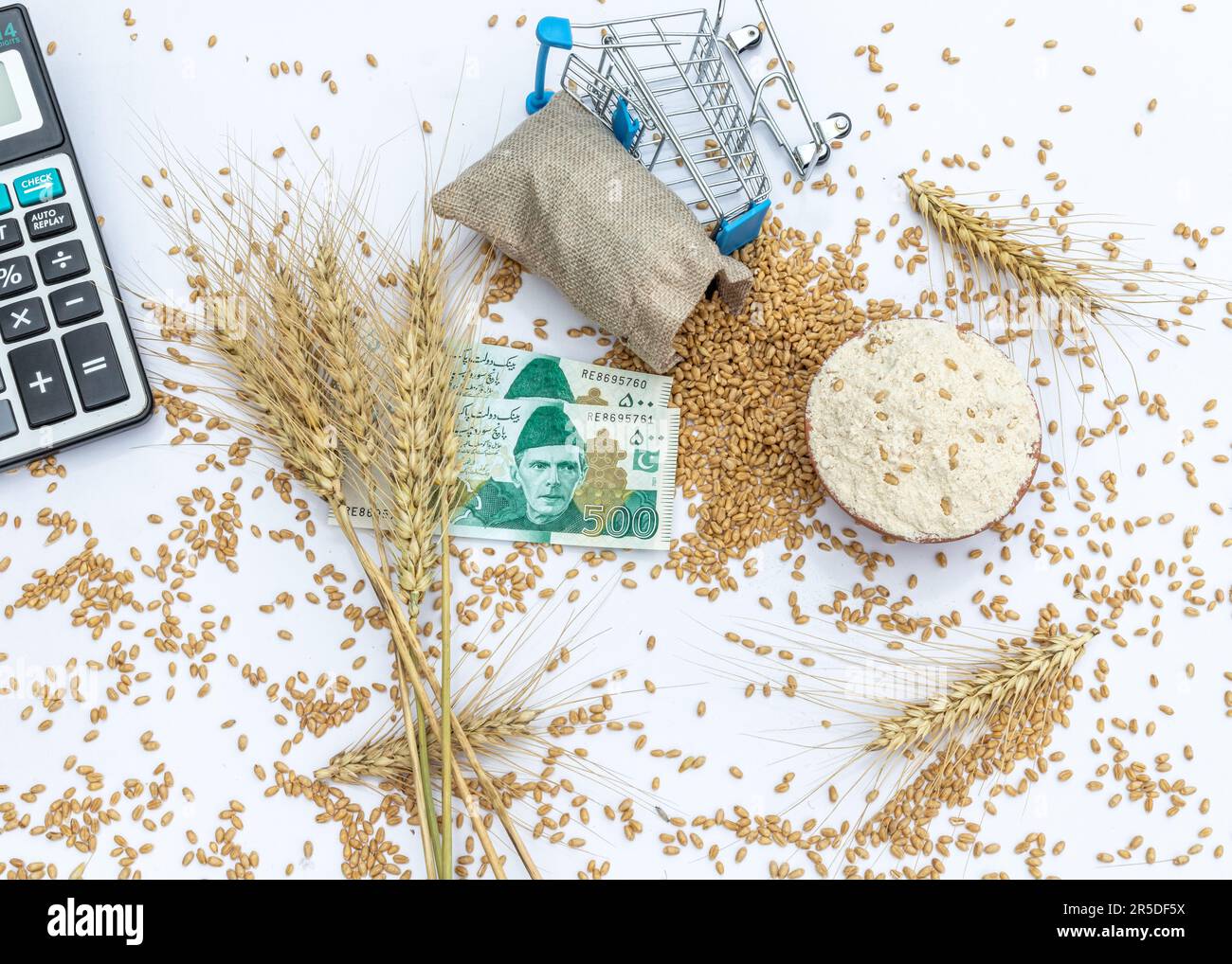 Wheat flour and wheat grain in a brown sack with Pakistani rupees on ...