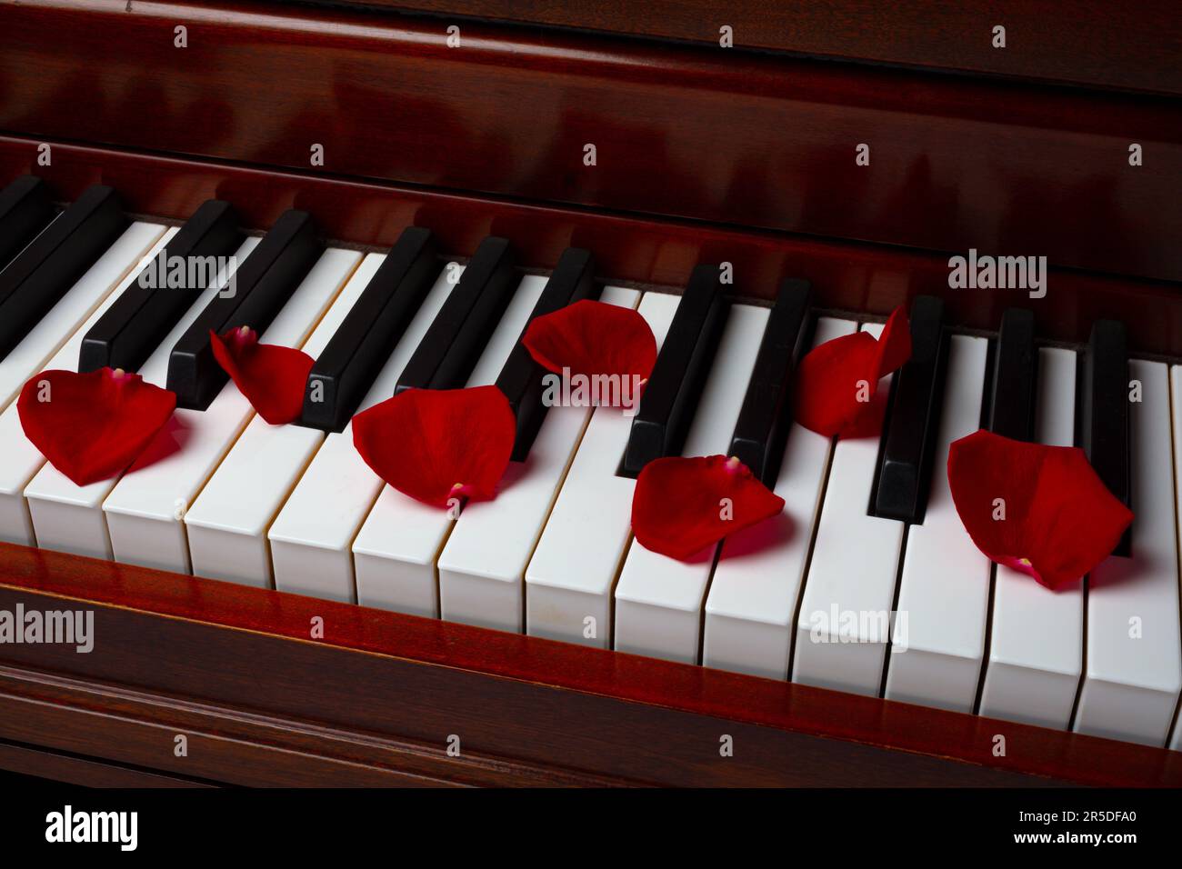 Red Rose Petals On Piano Keys Still Life Stock Photo - Alamy
