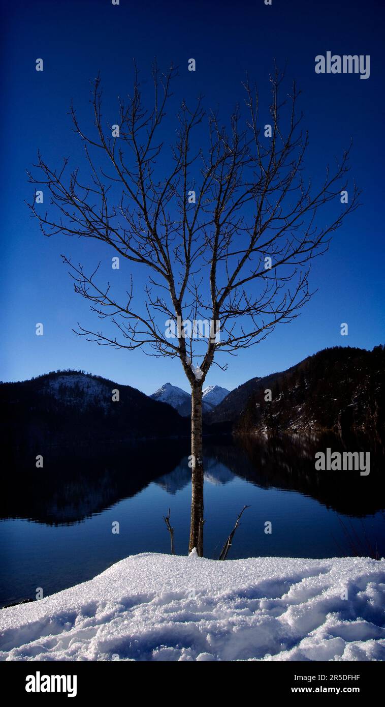 Iced lake mountain reflections hi-res stock photography and images - Alamy