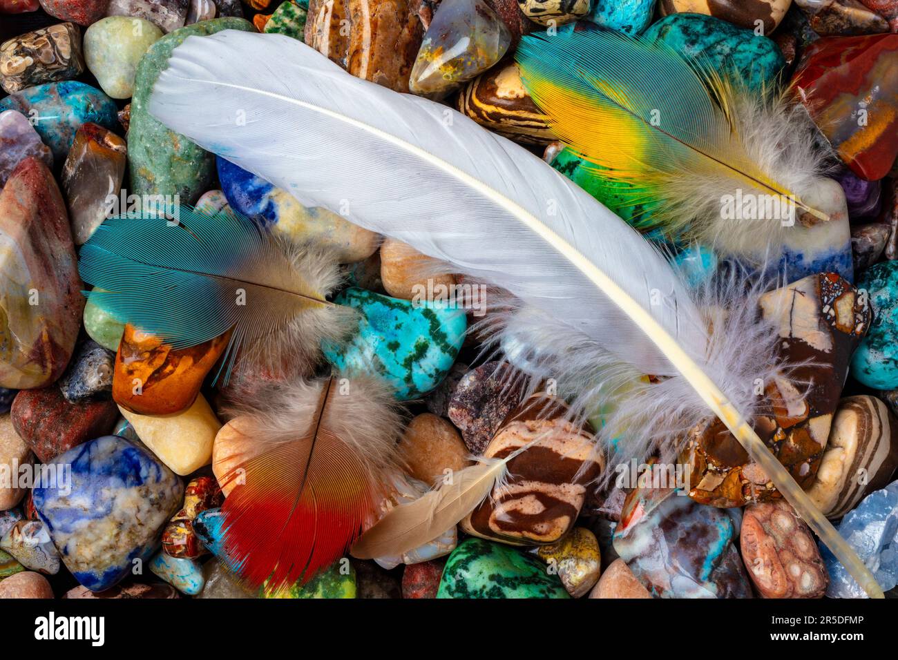 Feathers And Colorful Stones Still life Stock Photo - Alamy