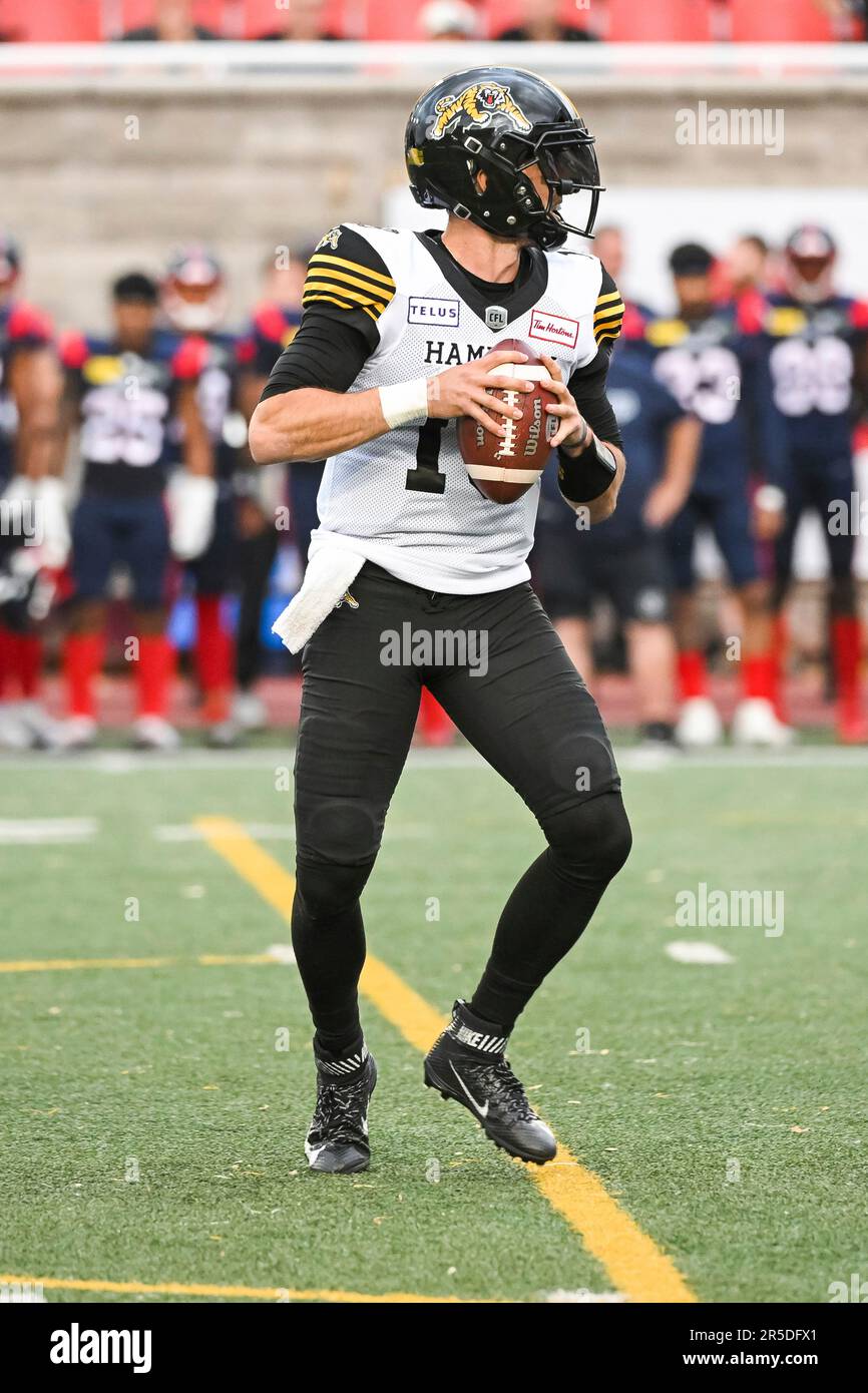 Hamilton Tiger Cats New Stadium Design