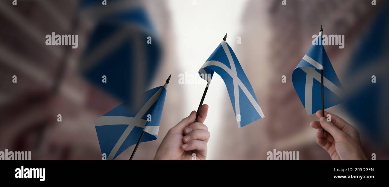 A group of people holding small flags of the Scotland in their hands ...