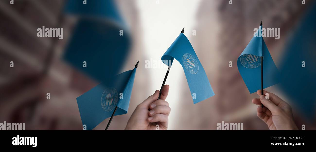 A group of people holding small flags of the International Intellectual ...