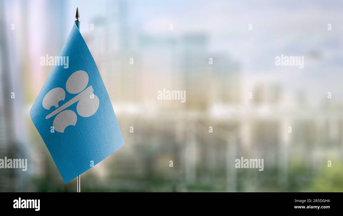 A small Organization of the Petroleum Exporting Countries flag on an ...