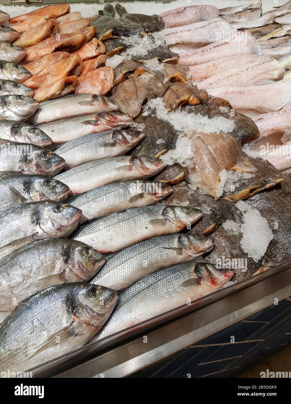 Food background close-up. There are many varieties of fresh fish on the ...
