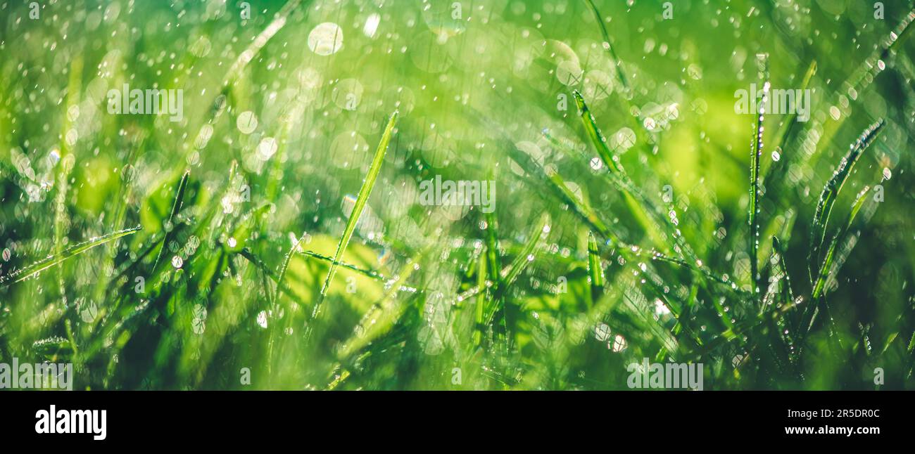 Weather concept sun rain contrast hi-res stock photography and images ...
