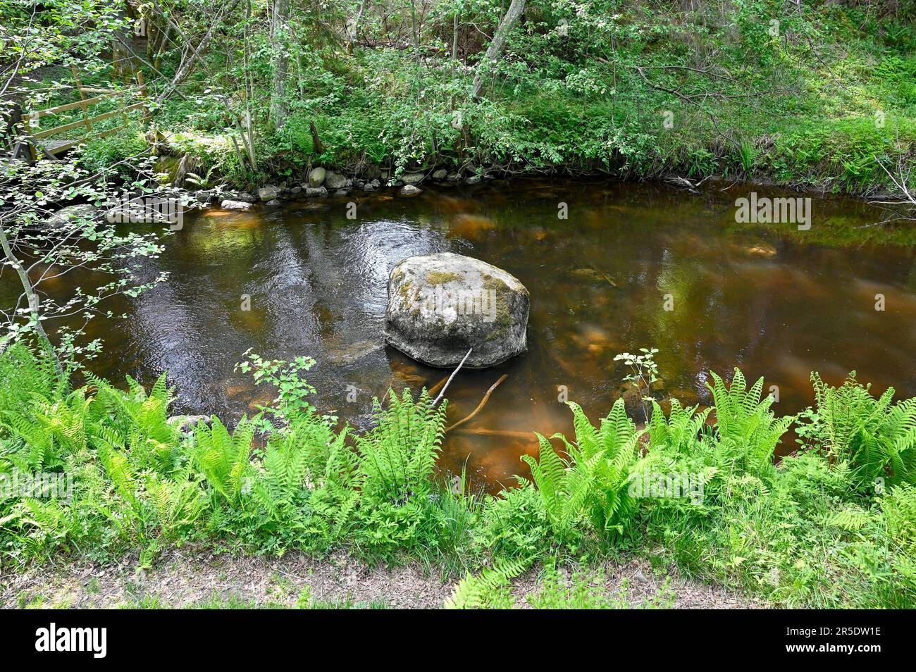 Stream of water through Lekeberga Salven nature reserve Stock Photo - Alamy