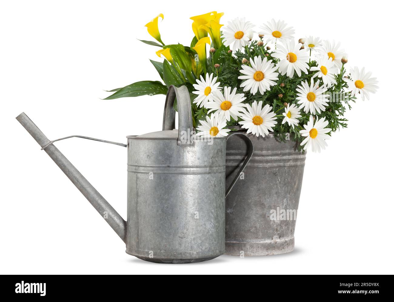 Decoration in florist shop Cut Out Stock Images & Pictures - Alamy