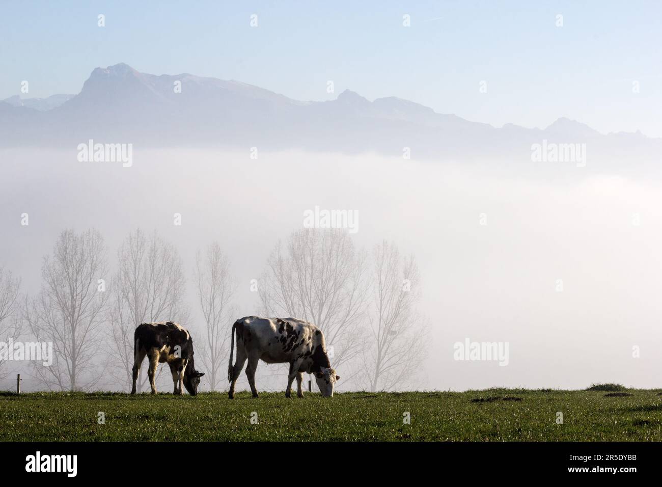 Persistent frost hi-res stock photography and images - Alamy