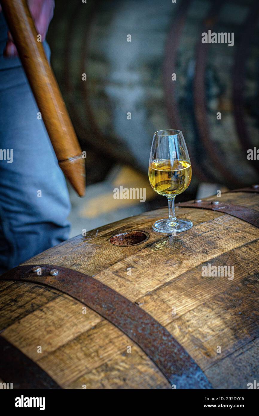 Nc’nean Distillery at Drimnin Estate in Movern , Scotland, UK Stock ...