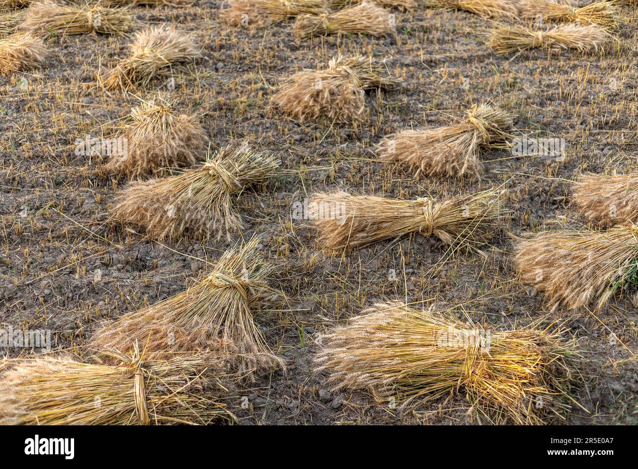 Scenic bundle hi-res stock photography and images - Alamy