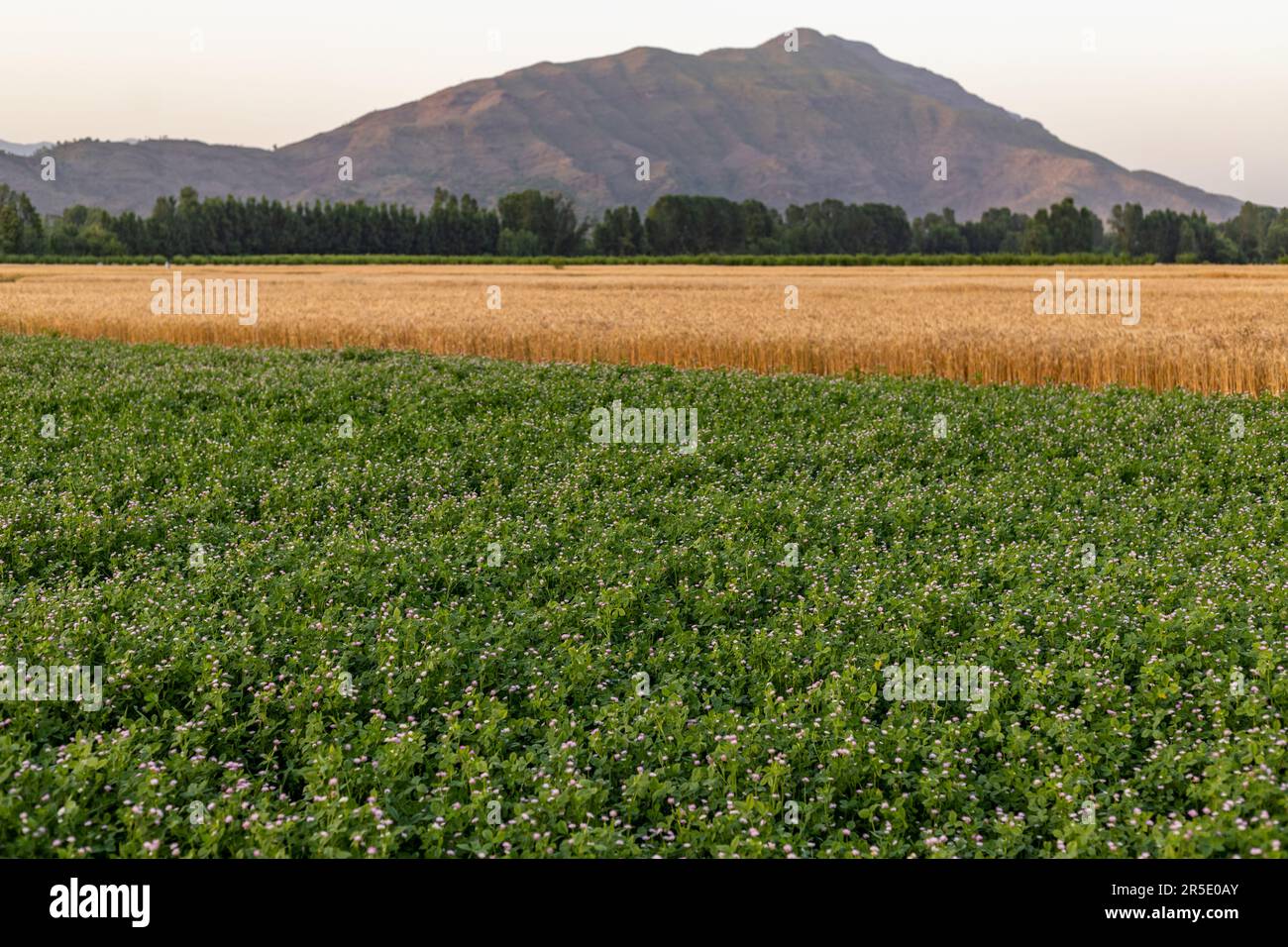Refle blanc hi-res stock photography and images - Alamy
