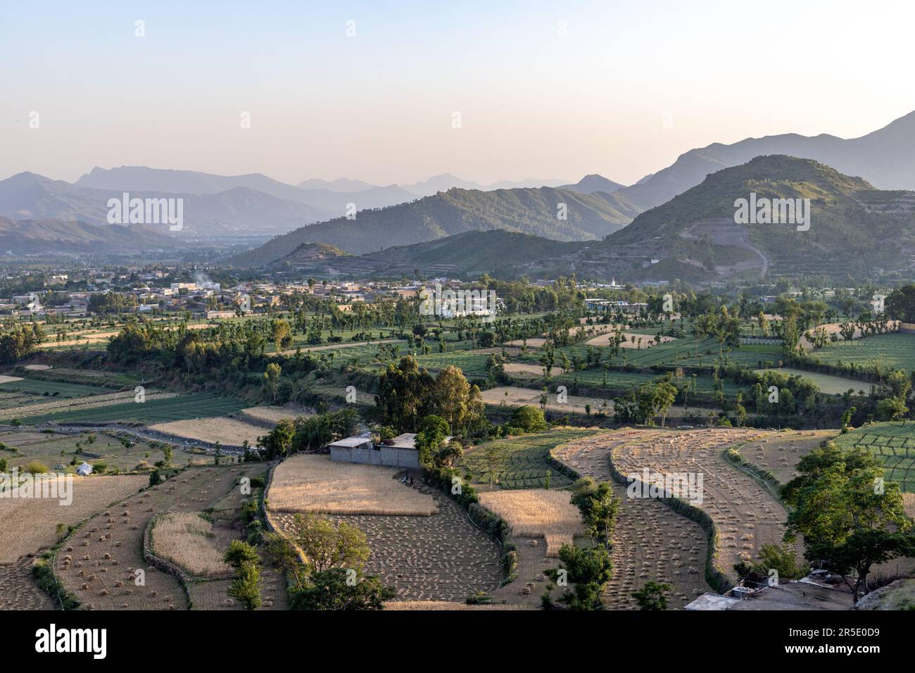 Beautiful summer fields from hi-res stock photography and images - Alamy