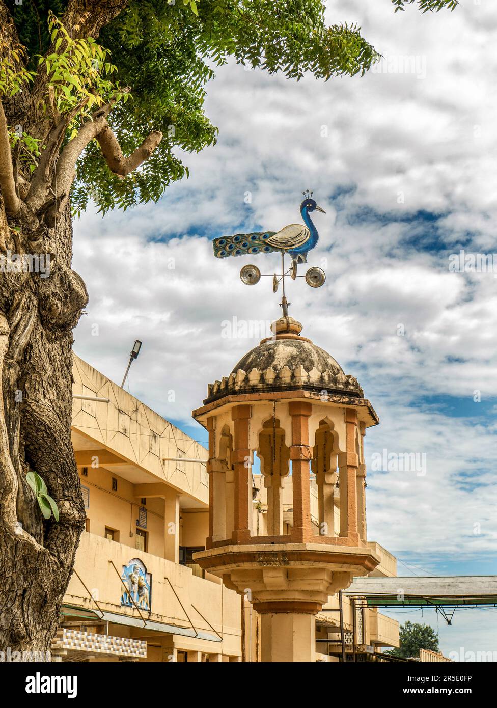30 Oct 2019 National Bird Peacock on Vintage traditional bird house ...