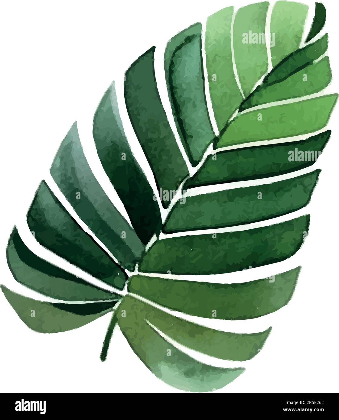 Modern exotic leave watercolor, great design for any purposes. Isolated ...