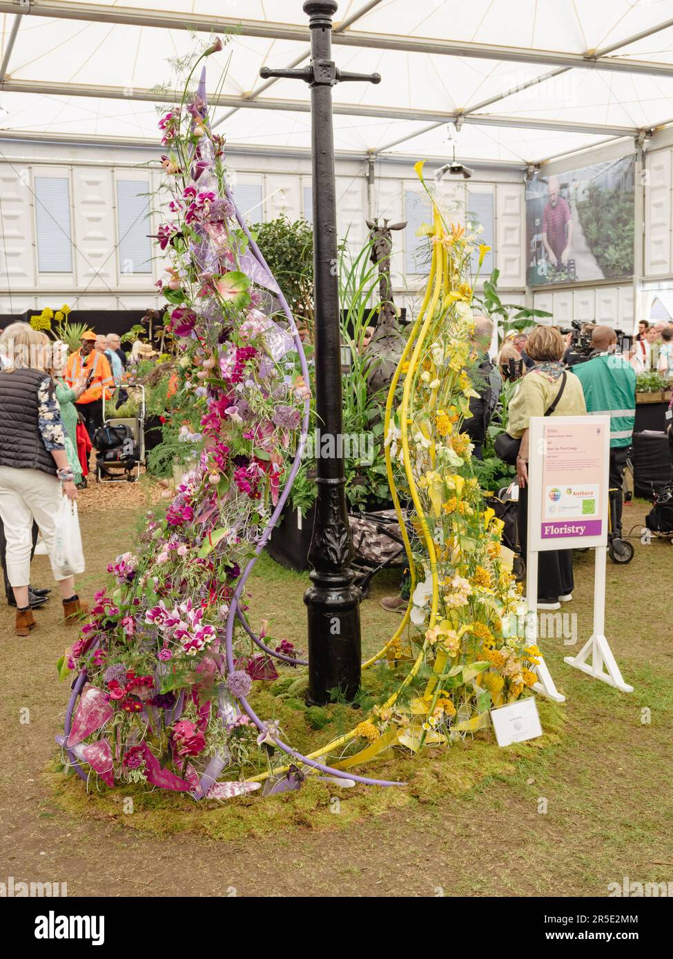 Chelsea flower show 2023 hi-res stock photography and images - Alamy