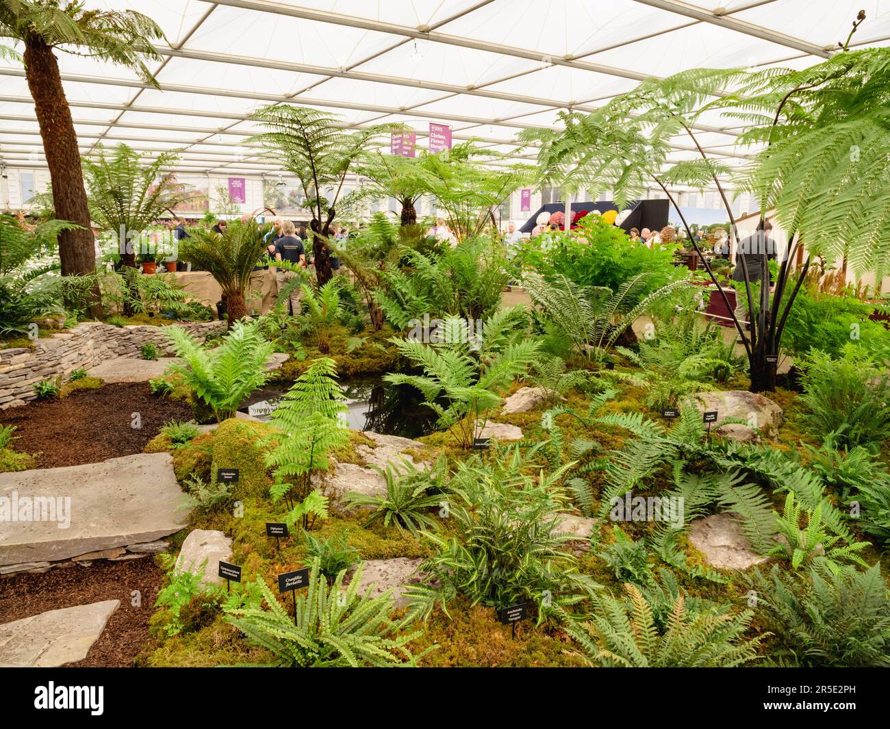Garden display inside the pavilion at Chelsea Flower Show Stock Photo ...