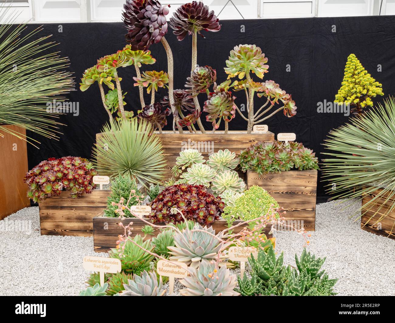 Trade Stands in the Pavilion at Chelsea Flower Show Stock Photo - Alamy