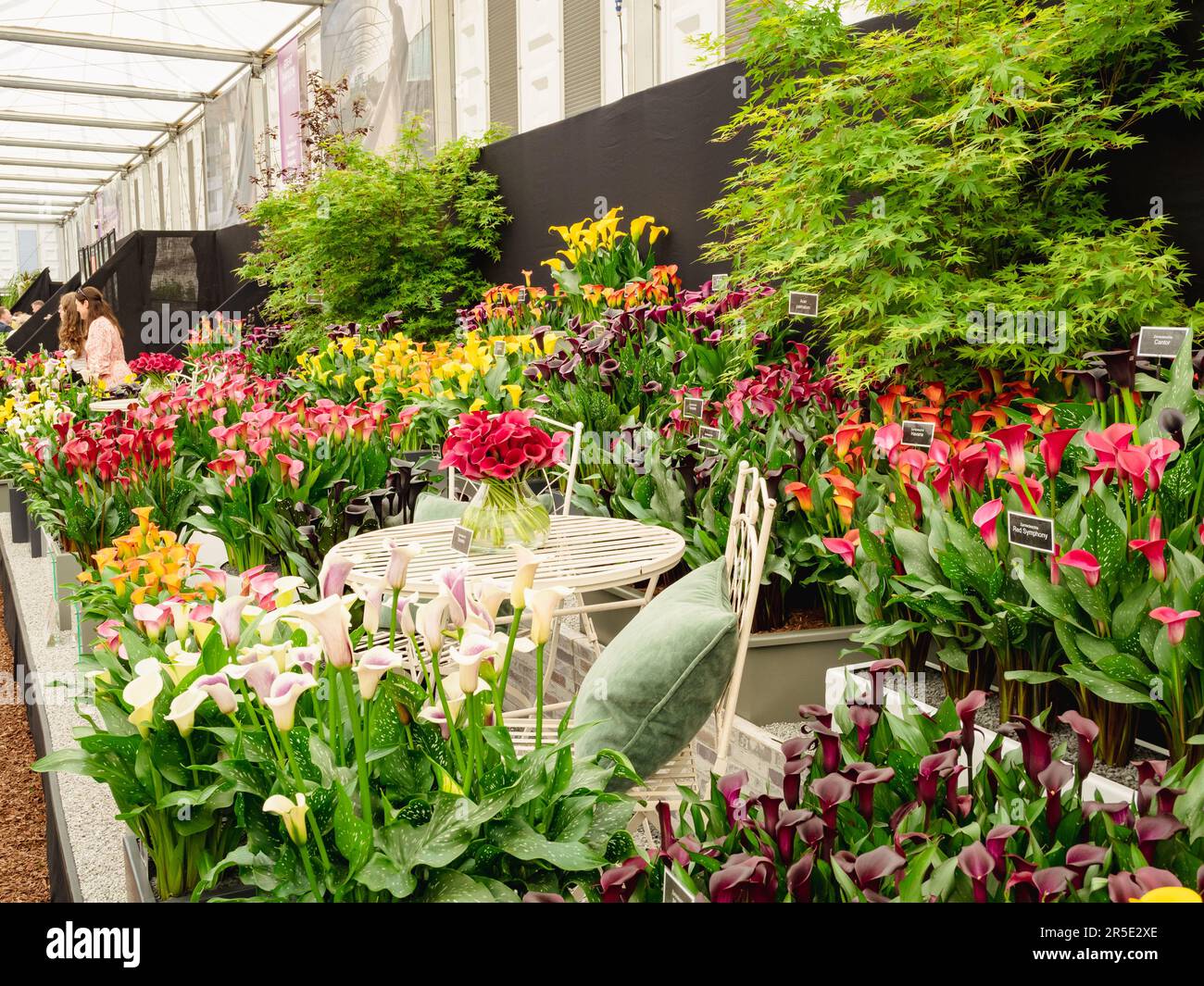 Chelsea flower show trade stands hi-res stock photography and images ...
