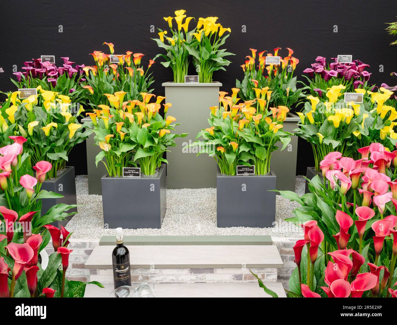 Chelsea flower show trade stands hi-res stock photography and images ...