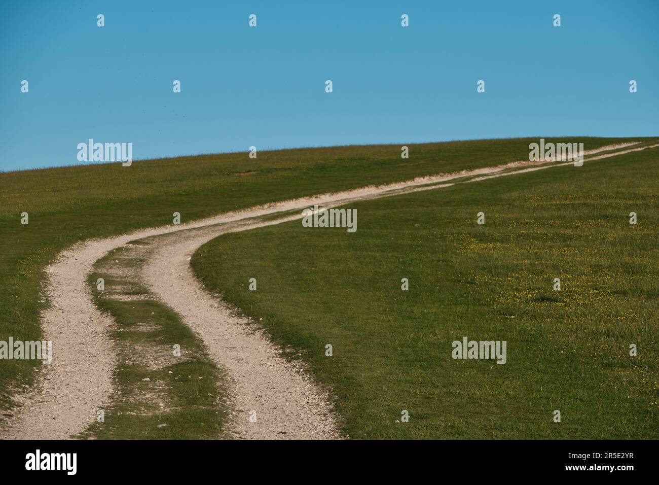 A chalk track in the South Downs National Park at the top of Bo Peep ...