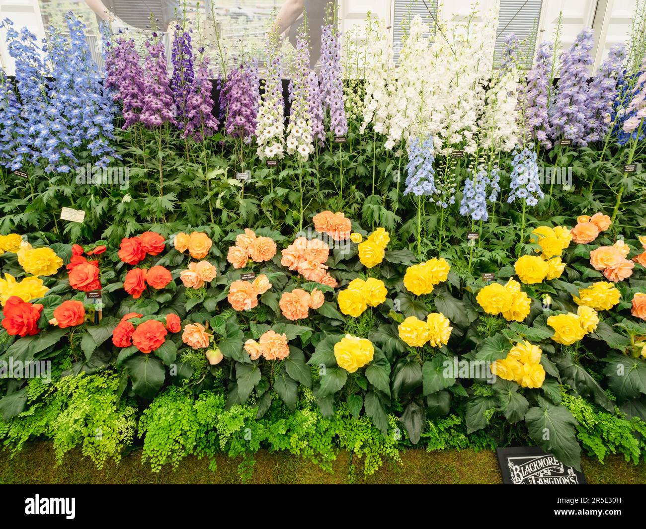 Trade Stands in the Pavilion at Chelsea Flower Show Stock Photo - Alamy