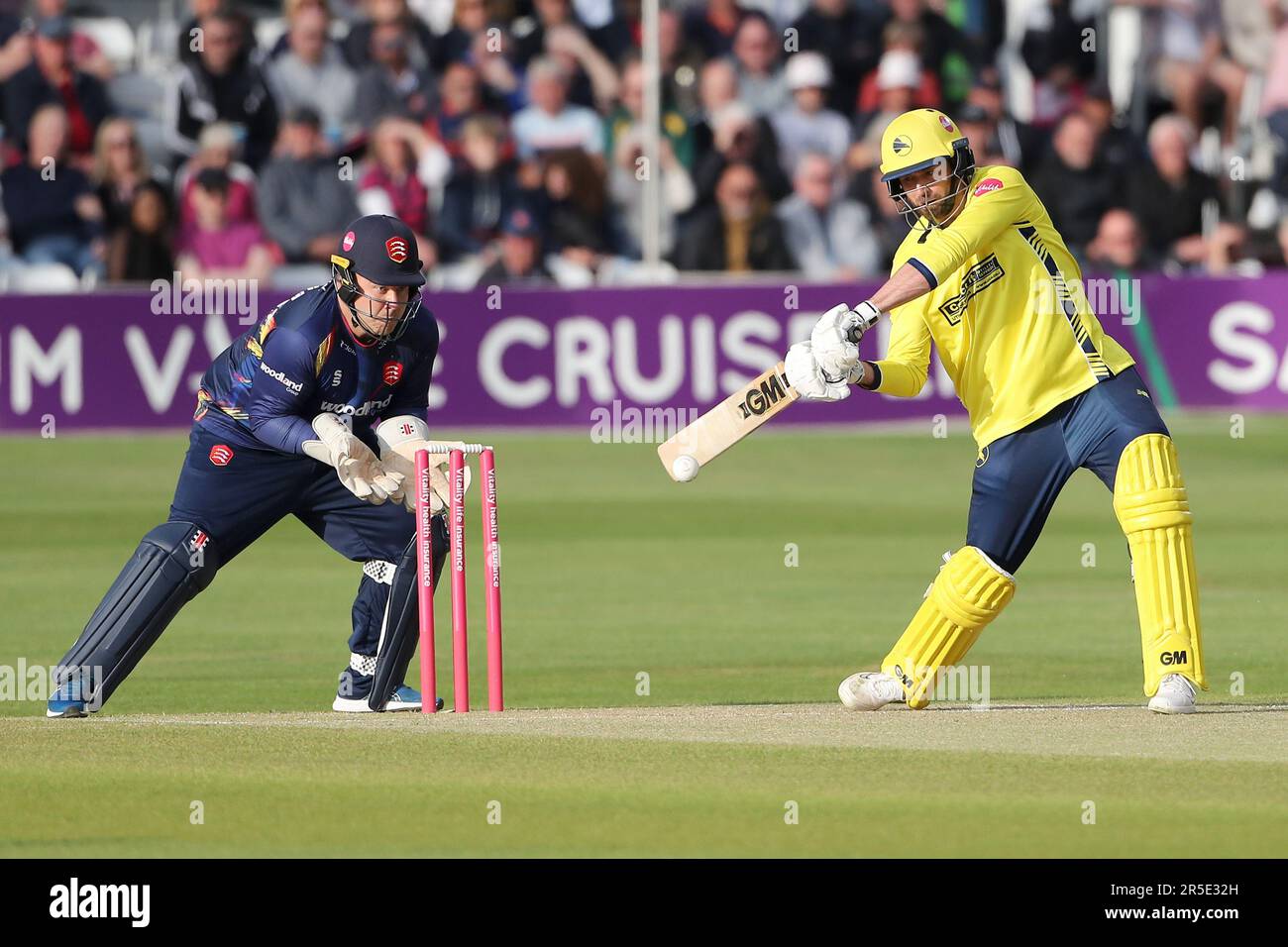 James vince hawks hi-res stock photography and images - Alamy