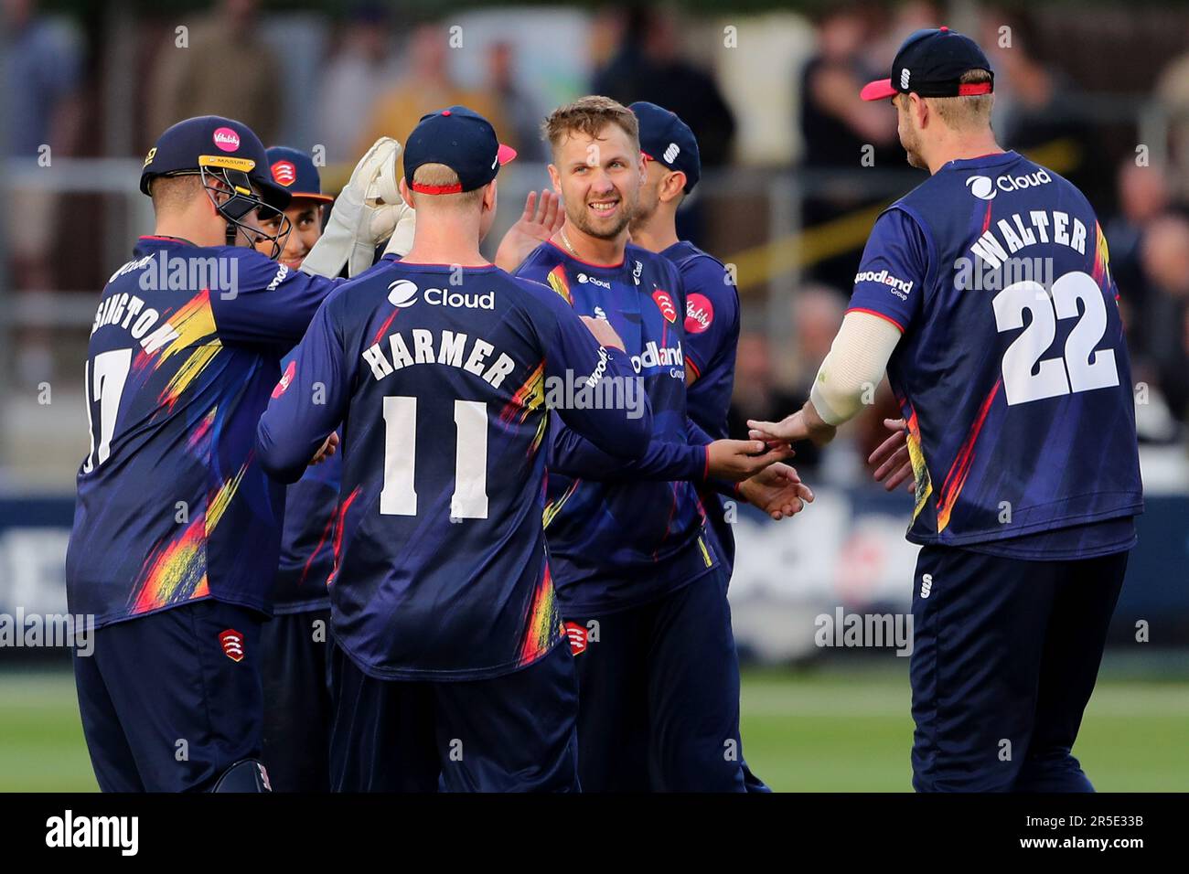 James vince hawks hi-res stock photography and images - Alamy