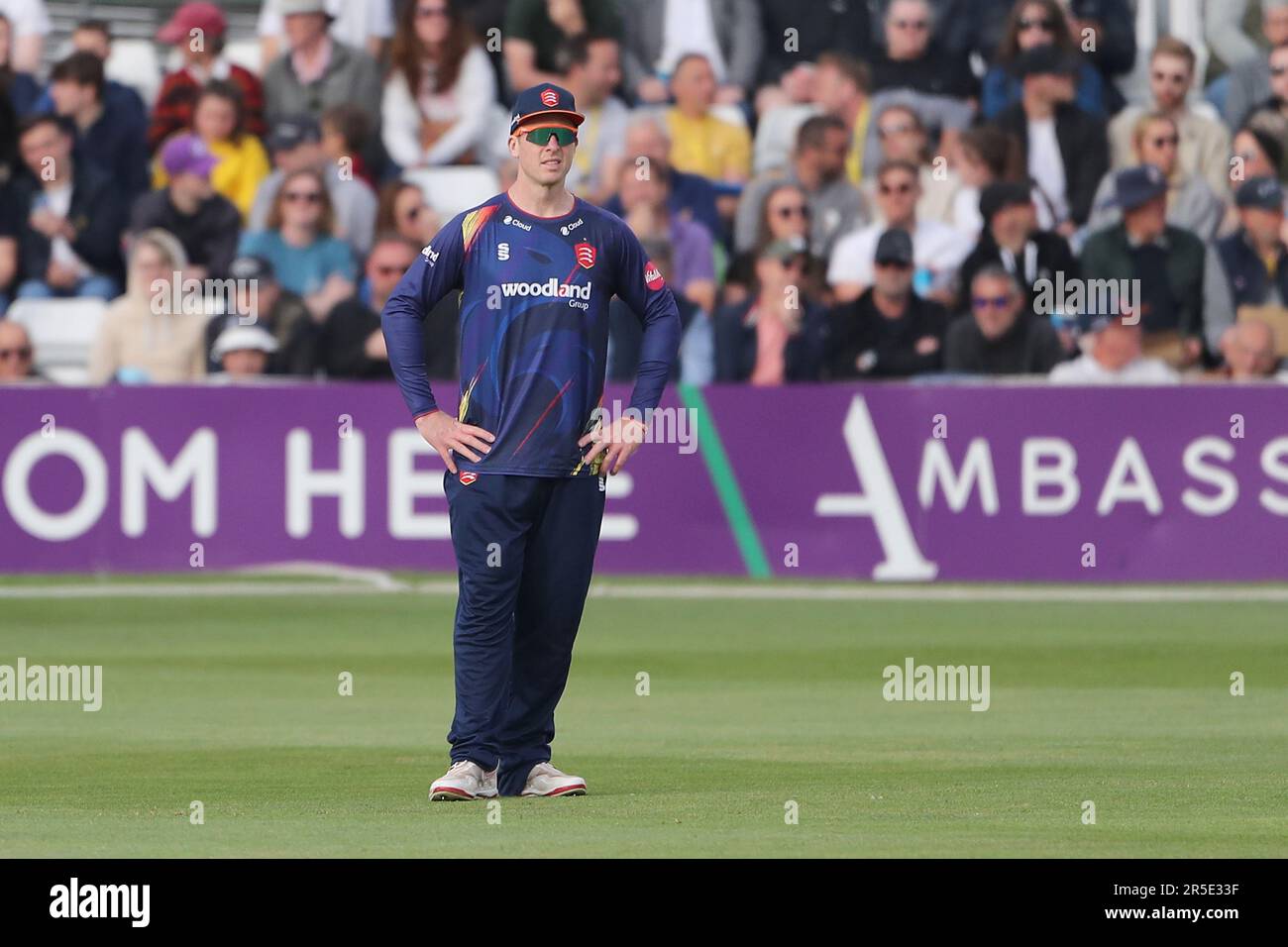 Simon harmer essex eagles hi-res stock photography and images - Alamy
