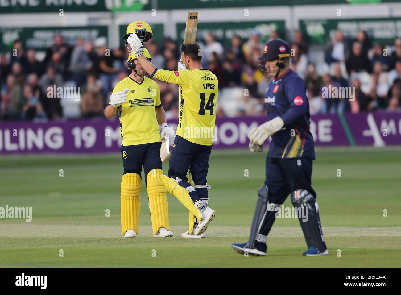 Bat hawks hi-res stock photography and images - Alamy