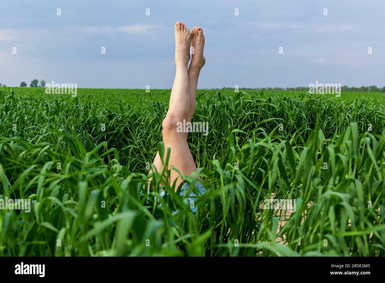 Beautiful female legs sticking out of the green grass Stock Photo - Alamy