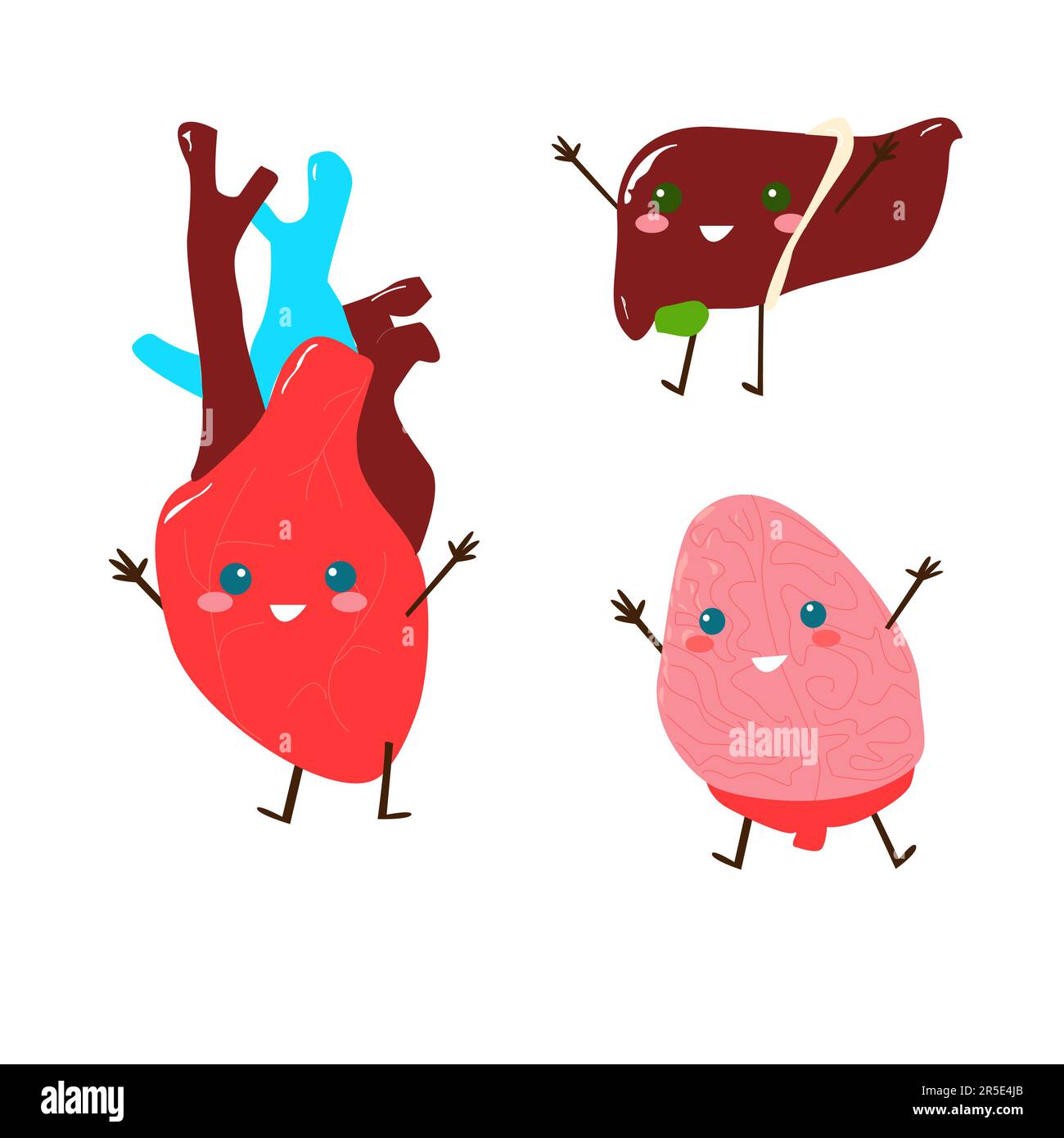 characters of kawaii internal organs of a person Stock Vector Image ...