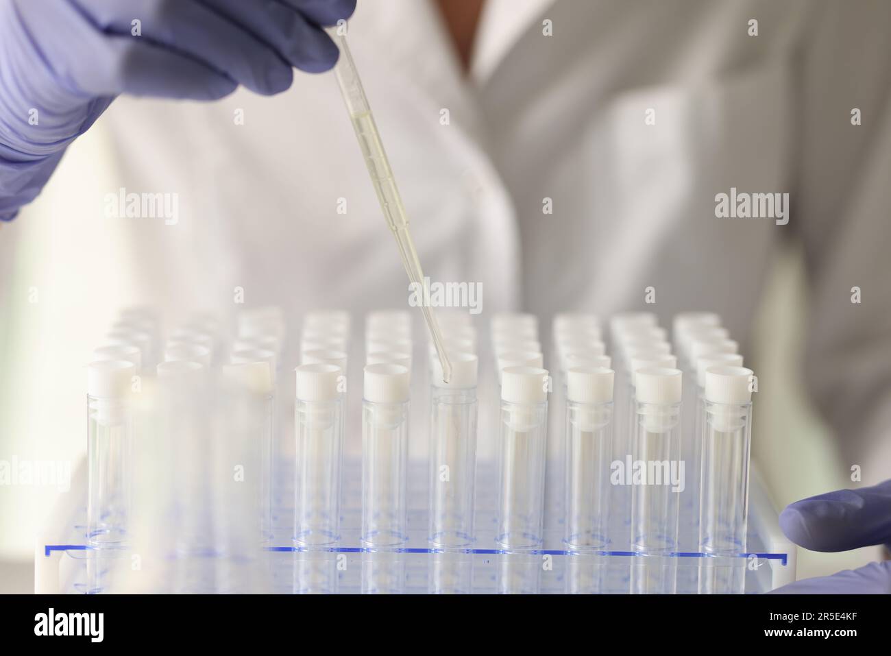 Scientist examines liquids samples working in laboratory Stock Photo ...