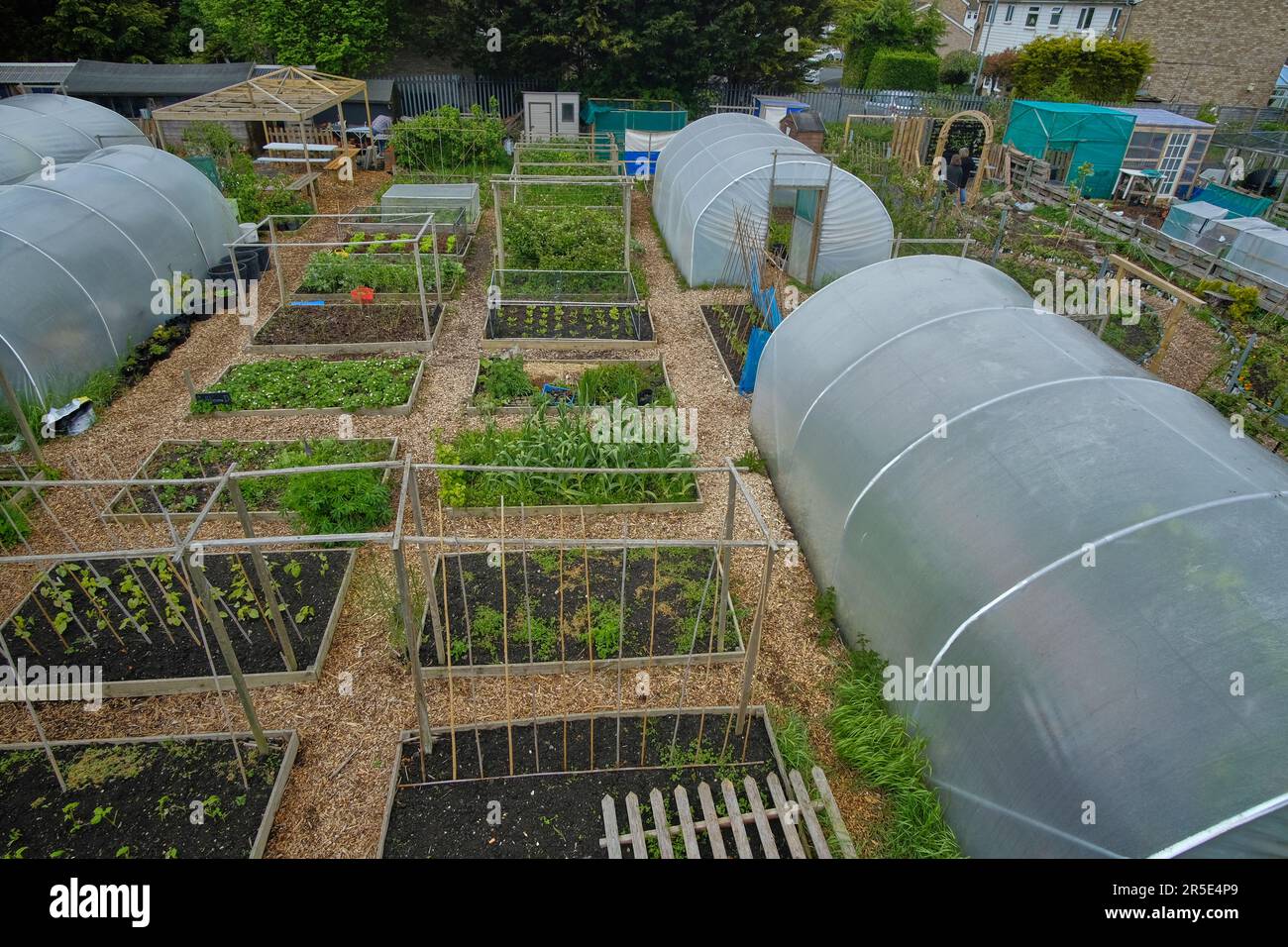 A typical British allotment garden in Eastbourne, East Sussex. A ...
