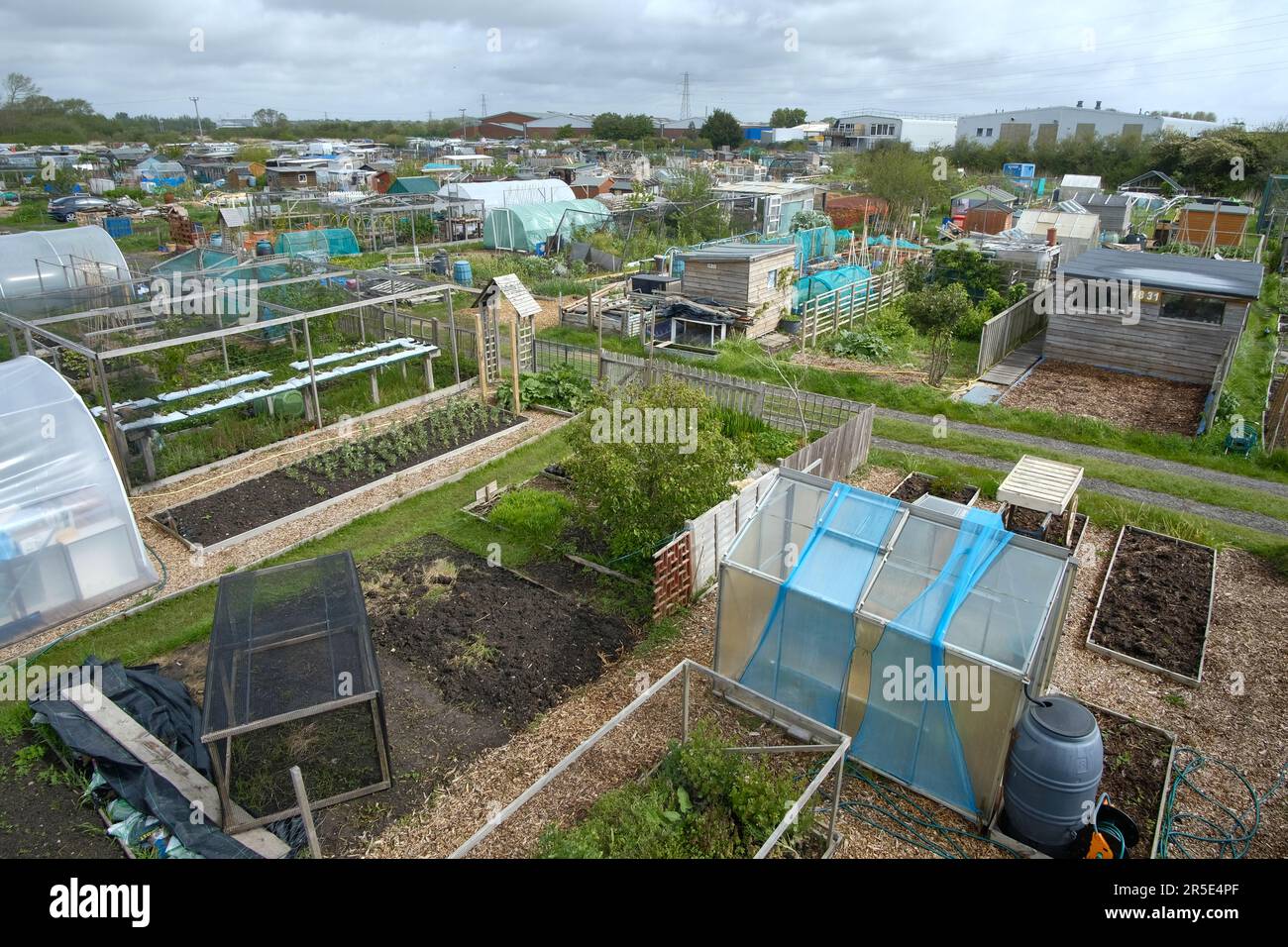 A typical British allotment garden in Eastbourne, East Sussex. A ...