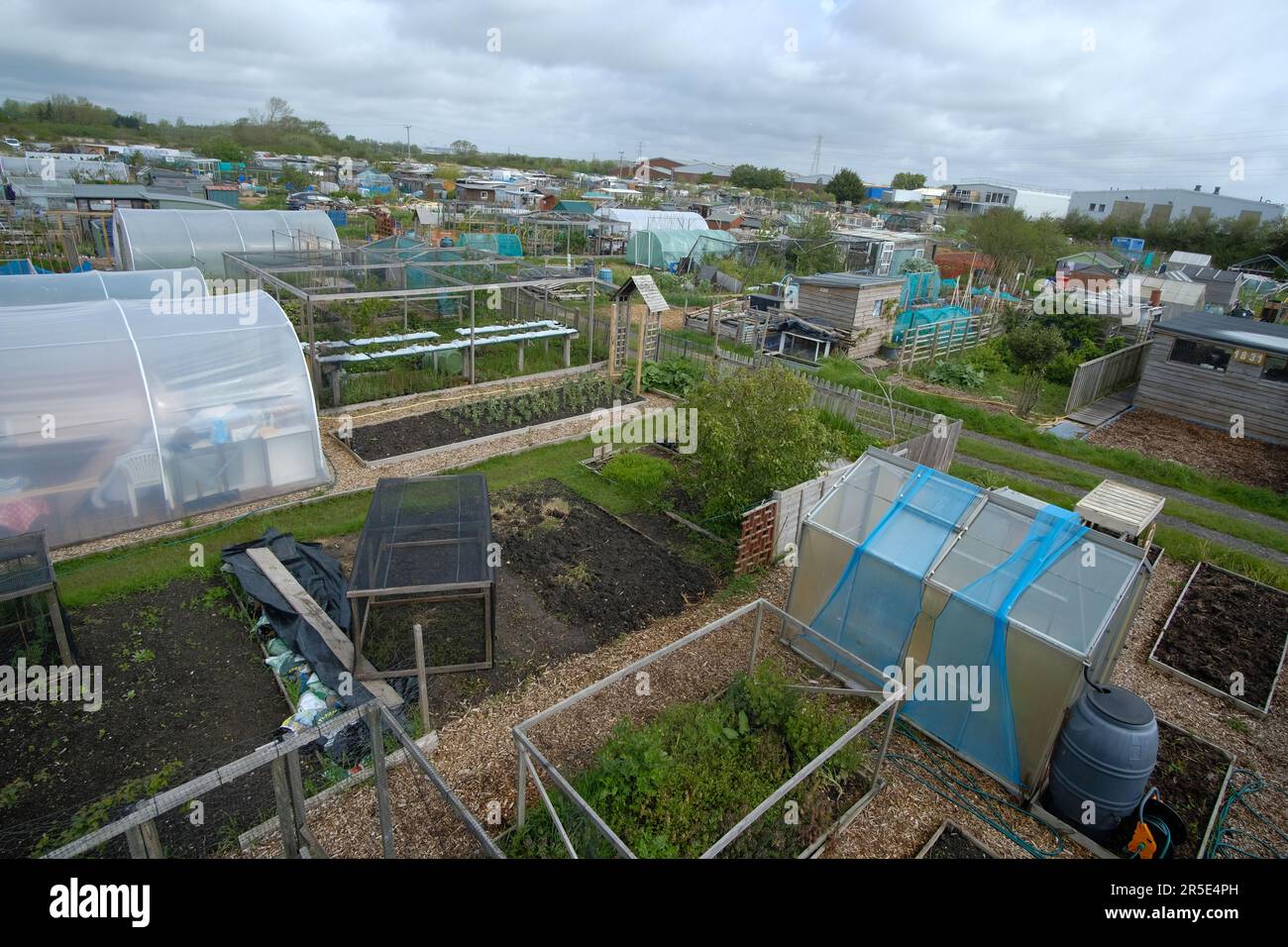 A typical British allotment garden in Eastbourne, East Sussex. A ...