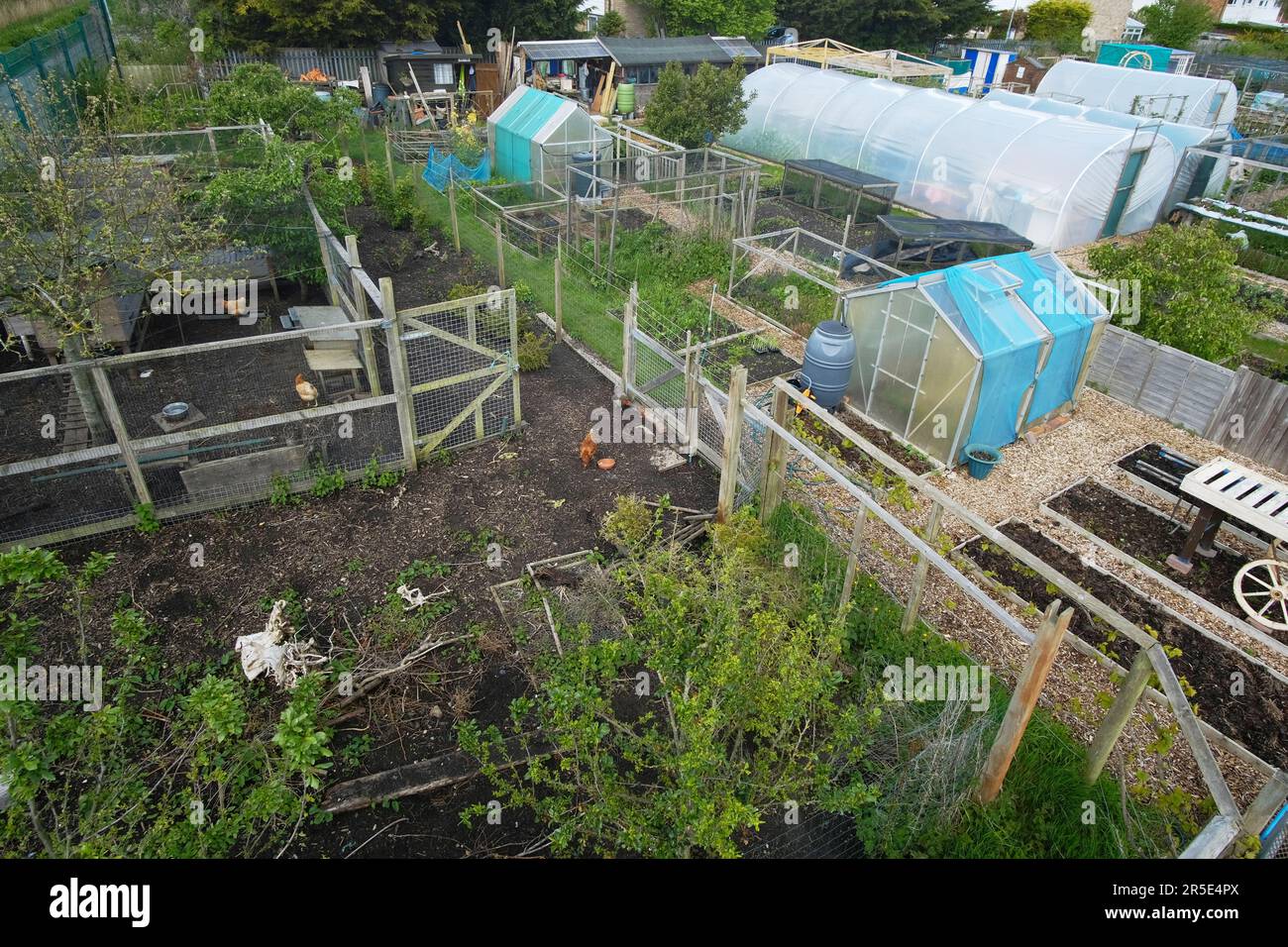 A typical British allotment garden in Eastbourne, East Sussex. A ...