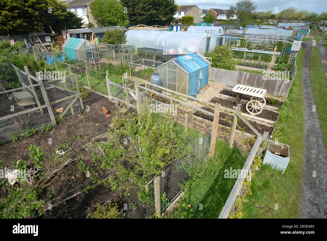 Community gardening groups hi-res stock photography and images - Alamy