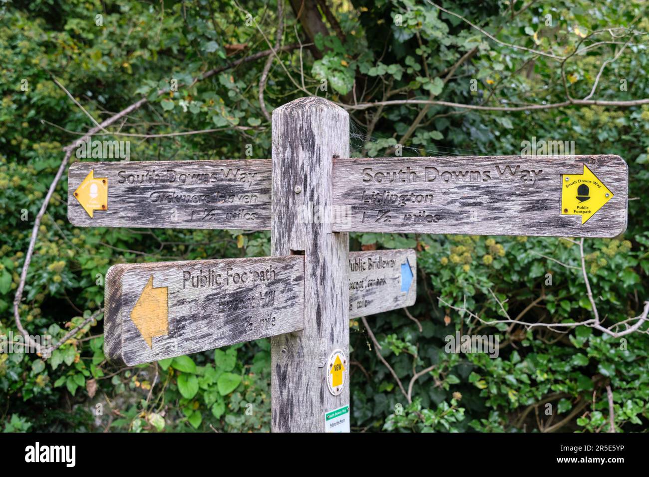 South downs way in hi-res stock photography and images - Alamy