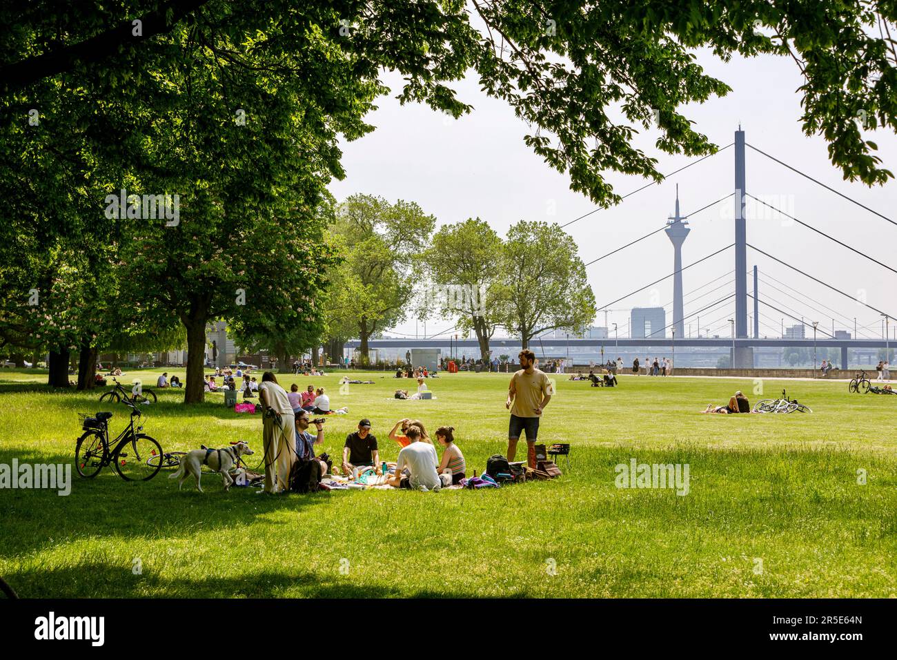 People having bbq lunch hi-res stock photography and images - Alamy